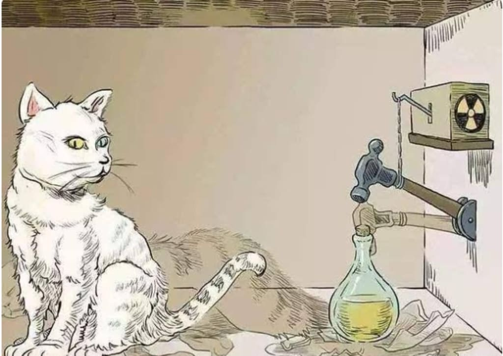 Scientists Rework Schrödingers Cat Equation To Unite Einsteins
